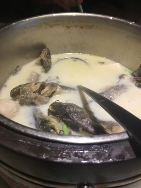 鱼汤怎么做简单又好吃_鱼汤去腥技巧-第2张图片-山城妙识
