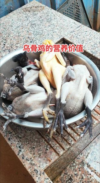 乌骨鸡多少钱一斤_乌骨鸡价格受哪些因素影响-第2张图片-山城妙识 乌骨鸡多少钱一斤_乌骨鸡价格受哪些因素影响-第2张图片-山城妙识
