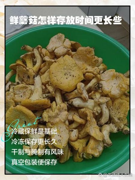 鲜蘑菇怎么长期保存_鲜蘑菇放冰箱能放多久-第2张图片-山城妙识