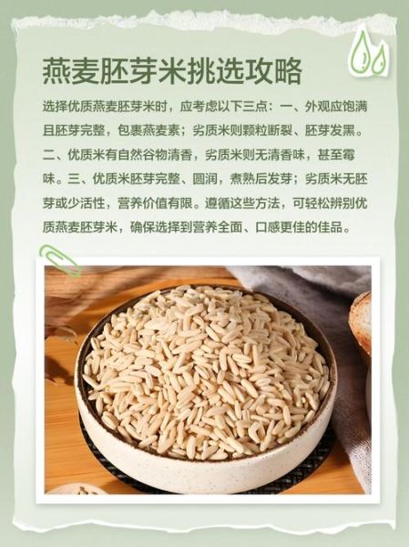 燕麦胚芽米怎么吃_燕麦胚芽米的功效与作用-第1张图片-山城妙识 燕麦胚芽米怎么吃_燕麦胚芽米的功效与作用-第1张图片-山城妙识
