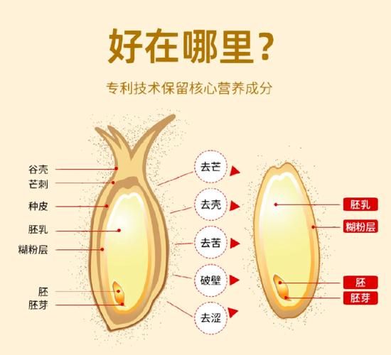 燕麦胚芽米怎么吃_燕麦胚芽米的功效与作用-第2张图片-山城妙识 燕麦胚芽米怎么吃_燕麦胚芽米的功效与作用-第2张图片-山城妙识
