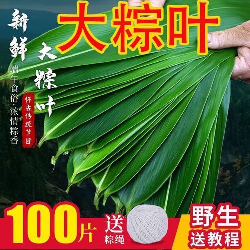 箬叶和粽叶有什么区别_箬叶是粽叶吗-第3张图片-山城妙识