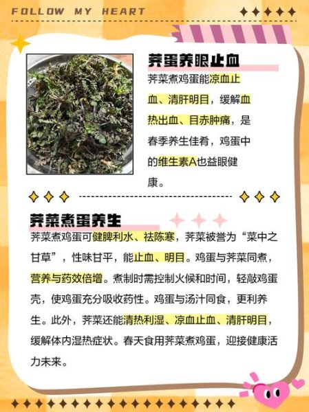 荠菜煮鸡蛋的功效与作用_荠菜煮鸡蛋能降血压吗-第1张图片-山城妙识