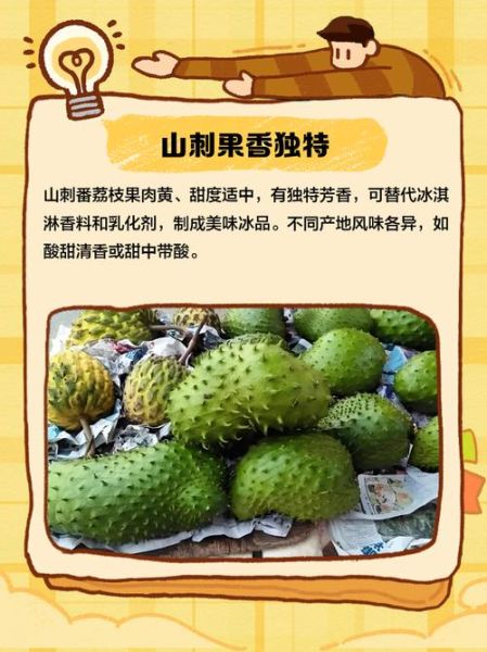 刺果番荔枝怎么吃_刺果番荔枝的功效与作用-第2张图片-山城妙识 刺果番荔枝怎么吃_刺果番荔枝的功效与作用-第2张图片-山城妙识