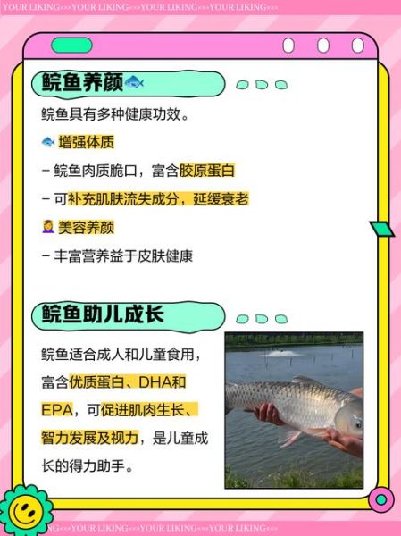 鲩鱼的功效与作用_鲩鱼的禁忌有哪些-第1张图片-山城妙识