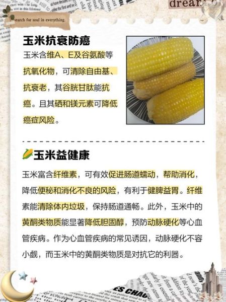 玉米的营养价值_玉米吃了会发胖吗-第1张图片-山城妙识
