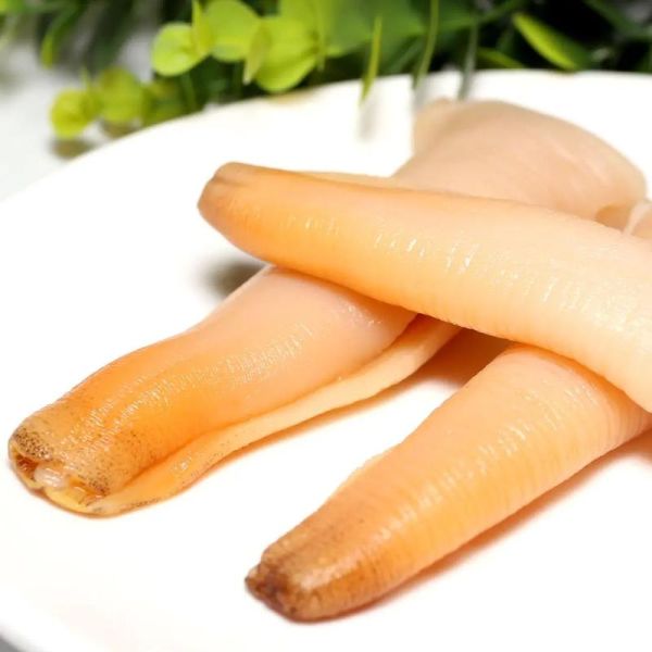 象拔蚌刺身有寄生虫吗_象拔蚌刺身安全吃法-第2张图片-山城妙识 象拔蚌刺身有寄生虫吗_象拔蚌刺身安全吃法-第2张图片-山城妙识