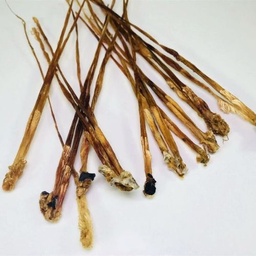 蛇鞭的功效与作用_蛇鞭怎么吃效果最好-第1张图片-山城妙识