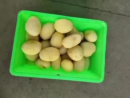 豆皮机多少钱一台_小型豆皮机价格表-第2张图片-山城妙识 豆皮机多少钱一台_小型豆皮机价格表-第2张图片-山城妙识