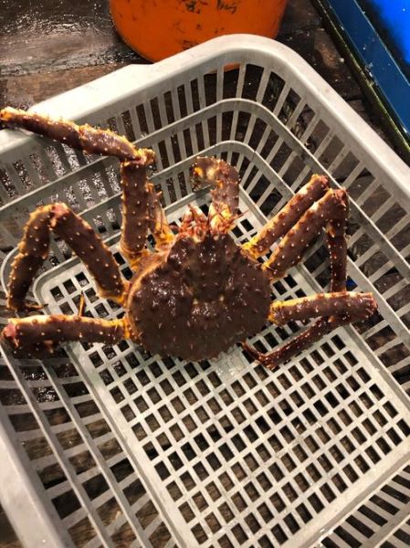 阿拉斯加捕蟹人怎么报名_阿拉斯加捕蟹人招聘条件-第3张图片-山城妙识