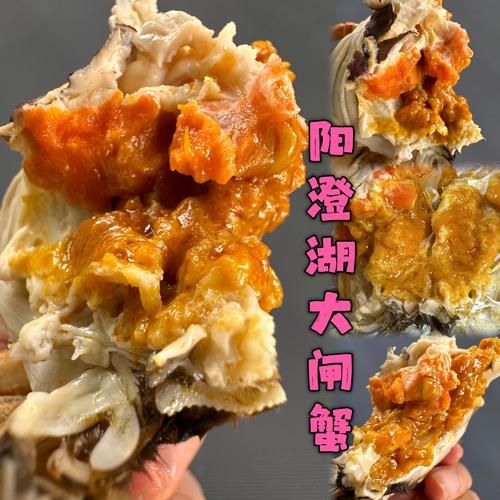 大闸蟹哪里最正宗_阳澄湖大闸蟹怎么挑-第1张图片-山城妙识