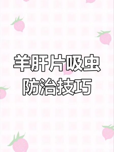 羊肝片吸虫症状_怎么治疗-第3张图片-山城妙识