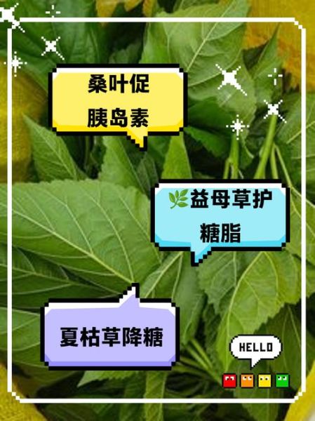 降糖草的功效与作用_降糖草能降血糖吗-第1张图片-山城妙识