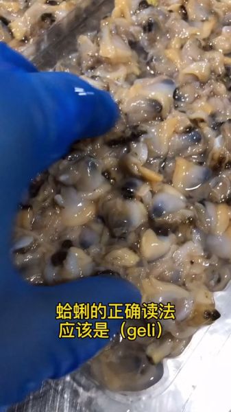 蛤蜊读gala还是蛤蜊读gali_正确读音是什么-第2张图片-山城妙识