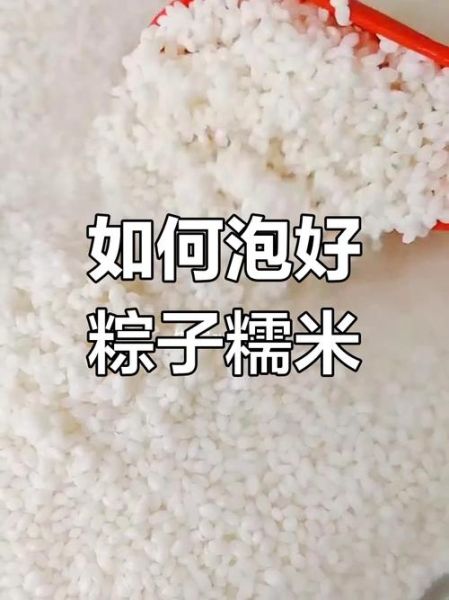 包粽子米泡多久_糯米最佳浸泡时间-第1张图片-山城妙识