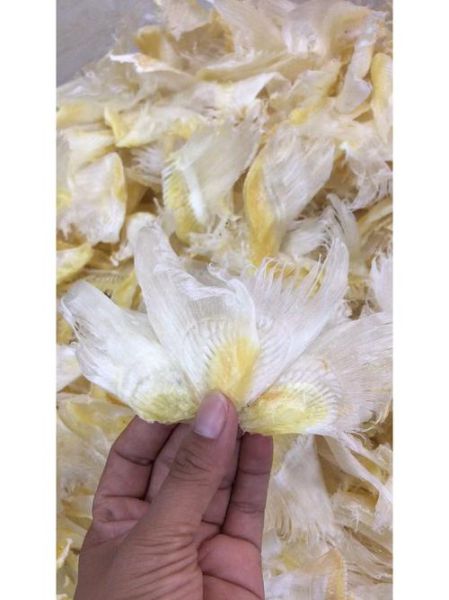 小鱼翅怎么泡发_小鱼翅怎么做好吃-第2张图片-山城妙识 小鱼翅怎么泡发_小鱼翅怎么做好吃-第2张图片-山城妙识