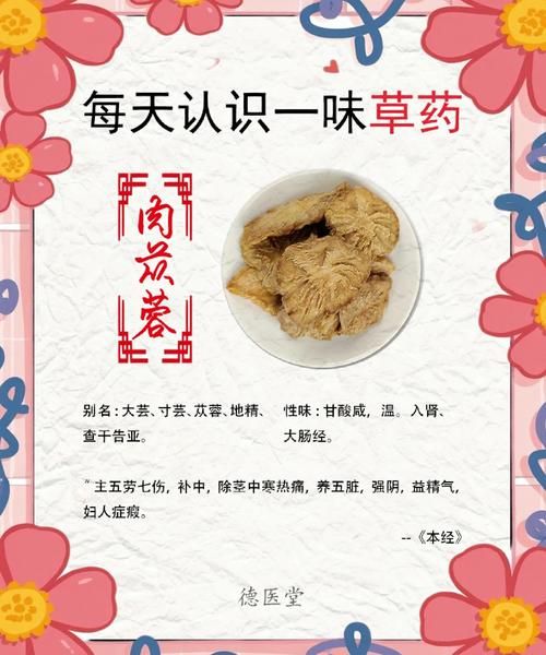肉苁蓉的危害极大_长期吃有哪些副作用-第2张图片-山城妙识 肉苁蓉的危害极大_长期吃有哪些副作用-第2张图片-山城妙识