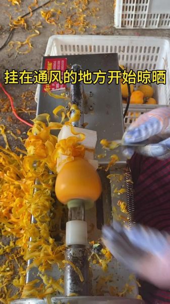 柿饼怎么保存_柿饼的制作方法-第2张图片-山城妙识 柿饼怎么保存_柿饼的制作方法-第2张图片-山城妙识