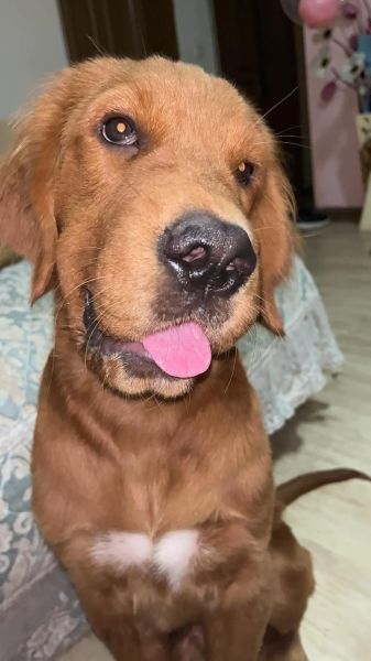 哈喇子是什么意思_哈喇子是哪里的方言-第1张图片-山城妙识