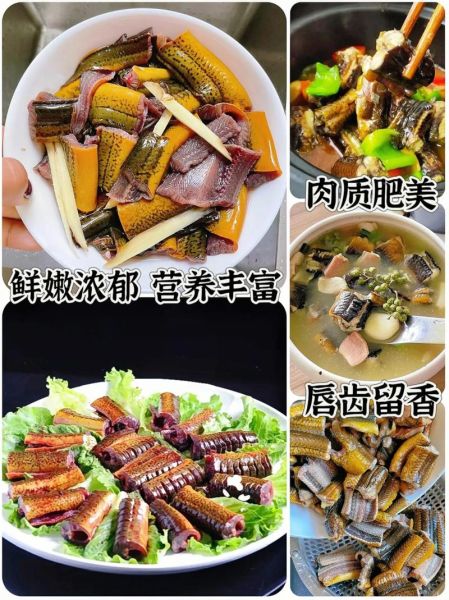 黄鳝怎么杀_黄鳝宰杀步骤图解-第2张图片-山城妙识