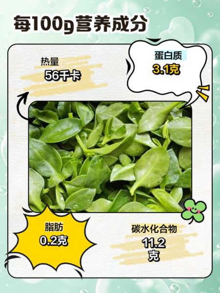 土三七的功效与作用_土三七和三七有什么区别-第3张图片-山城妙识 土三七的功效与作用_土三七和三七有什么区别-第3张图片-山城妙识