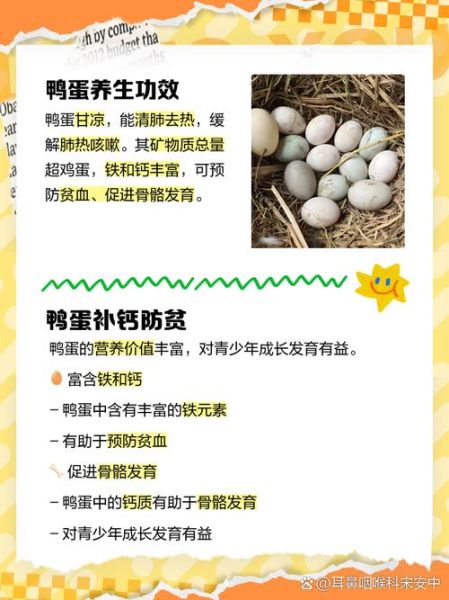 鸭蛋的功效与作用_鸭蛋的营养价值有哪些-第2张图片-山城妙识