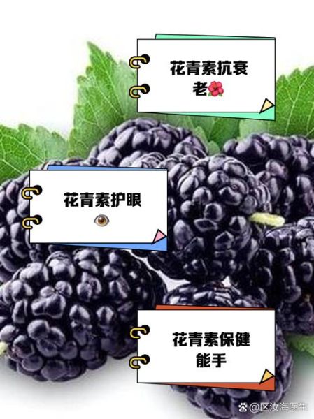 花青素吃多了有什么副作用_花青素禁忌人群-第3张图片-山城妙识