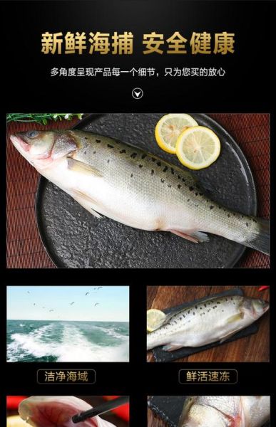 鲈鱼多少钱一斤_鲈鱼价格走势-第3张图片-山城妙识