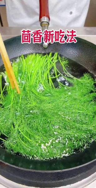 茴香菜怎么吃比较好_茴香菜的做法大全-第3张图片-山城妙识