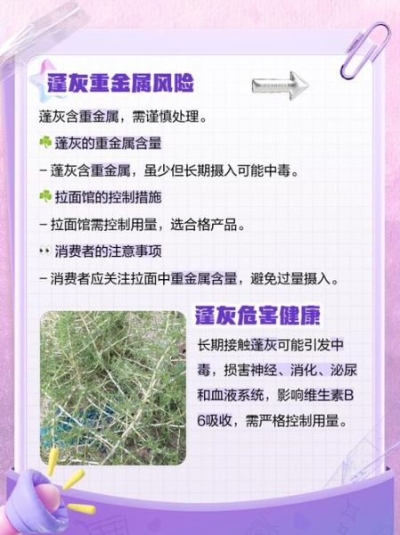 蓬灰拉面剂是什么_蓬灰拉面剂安全吗-第2张图片-山城妙识 蓬灰拉面剂是什么_蓬灰拉面剂安全吗-第2张图片-山城妙识