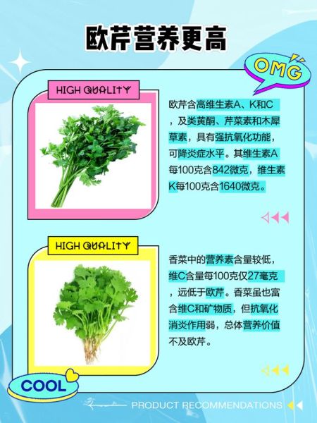 欧芹是什么味道_欧芹和香菜味道一样吗-第1张图片-山城妙识