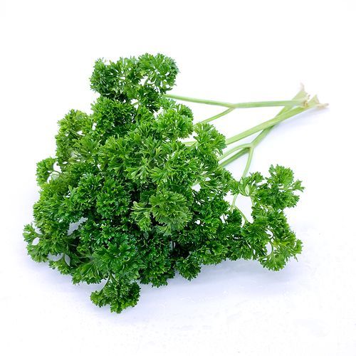 欧芹是什么味道_欧芹和香菜味道一样吗-第3张图片-山城妙识