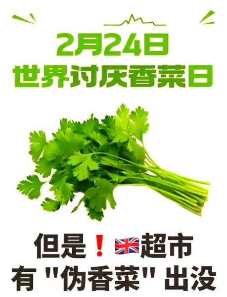 欧芹是什么味道_欧芹和香菜味道一样吗-第2张图片-山城妙识