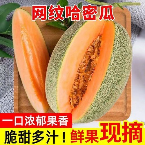 西州蜜瓜怎么挑选_西州蜜瓜甜不甜-第3张图片-山城妙识