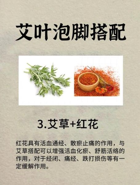 艾叶的功效与作用是什么_艾叶泡脚的正确方法-第1张图片-山城妙识