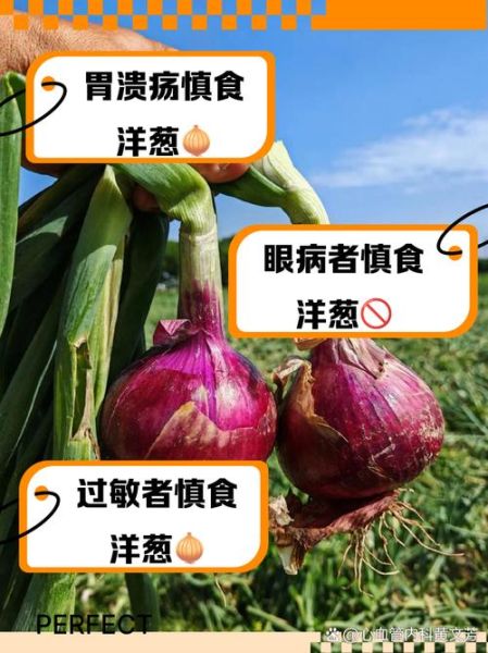 肠胃不好能吃洋葱吗_洋葱对胃的刺激程度-第1张图片-山城妙识