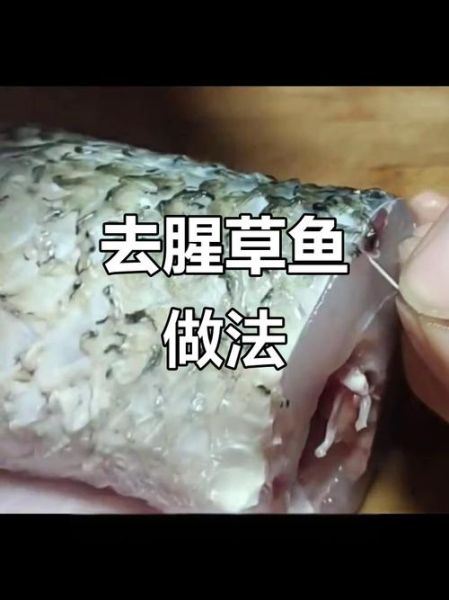 川菜草鱼怎么做才入味_草鱼去腥技巧-第2张图片-山城妙识