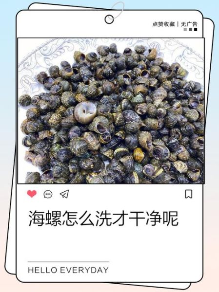小螺怎么做好吃_小螺的清洗技巧-第1张图片-山城妙识 小螺怎么做好吃_小螺的清洗技巧-第1张图片-山城妙识