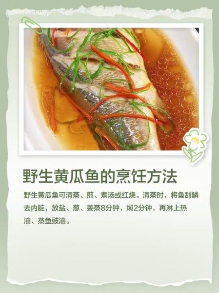 黄瓜鱼的营养价值_黄瓜鱼的功效与作用-第1张图片-山城妙识