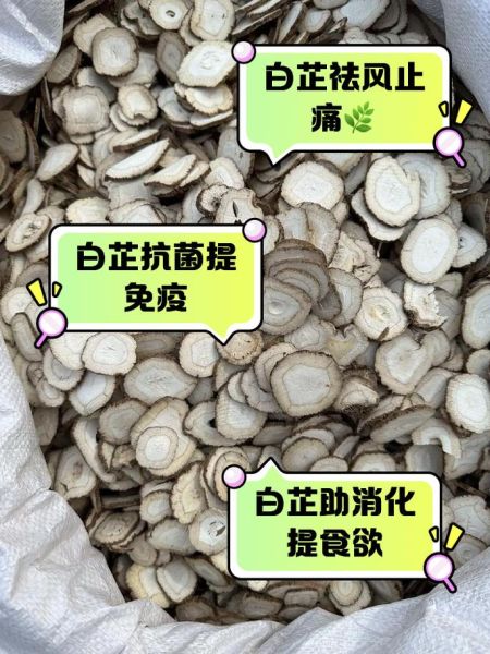 白芷的功效与作用_白芷能治疗哪些疾病-第2张图片-山城妙识 白芷的功效与作用_白芷能治疗哪些疾病-第2张图片-山城妙识