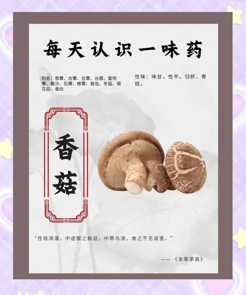 吃香菇的禁忌人群_哪些人不能吃香菇-第3张图片-山城妙识