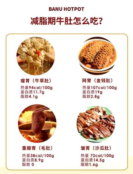 牛肚哪个部位好吃_牛肚口感排名-第1张图片-山城妙识 牛肚哪个部位好吃_牛肚口感排名-第1张图片-山城妙识