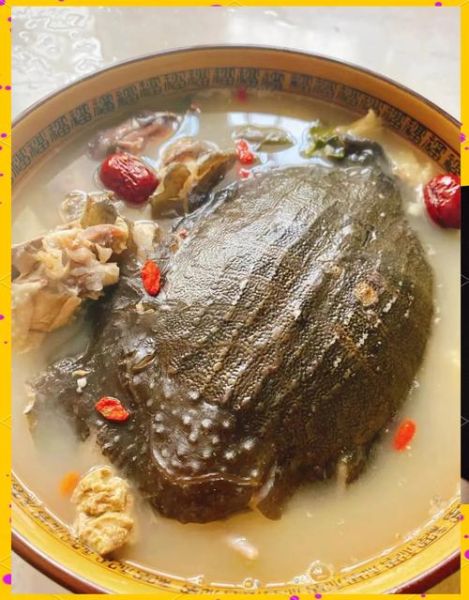 药膳甲鱼汤的做法大全_如何炖出营养不腥-第3张图片-山城妙识 药膳甲鱼汤的做法大全_如何炖出营养不腥-第3张图片-山城妙识