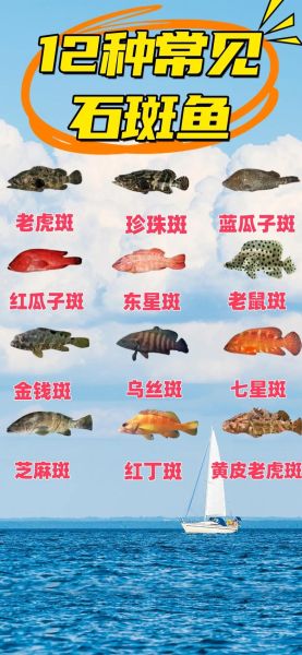 斑鱼有哪些常见种类_斑鱼图片怎么区分-第1张图片-山城妙识 斑鱼有哪些常见种类_斑鱼图片怎么区分-第1张图片-山城妙识