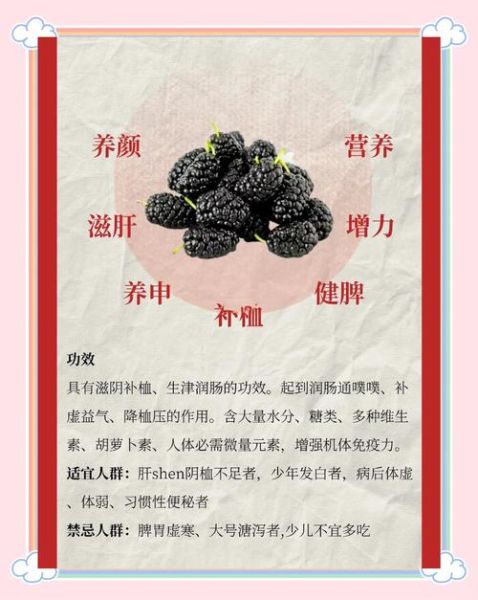 桑葚的功效与作用有哪些_桑葚怎么吃最养生-第3张图片-山城妙识 桑葚的功效与作用有哪些_桑葚怎么吃最养生-第3张图片-山城妙识