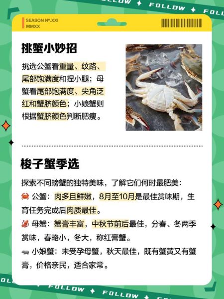 梭子蟹图片大全大图真实_梭子蟹怎么分辨公母-第1张图片-山城妙识 梭子蟹图片大全大图真实_梭子蟹怎么分辨公母-第1张图片-山城妙识