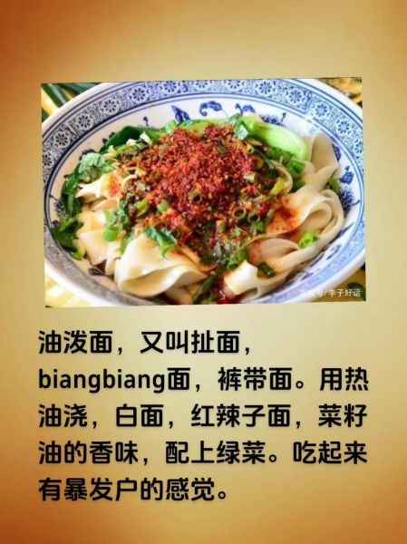 陕西面食500种做法有哪些_陕西面食500种做法怎么做-第1张图片-山城妙识