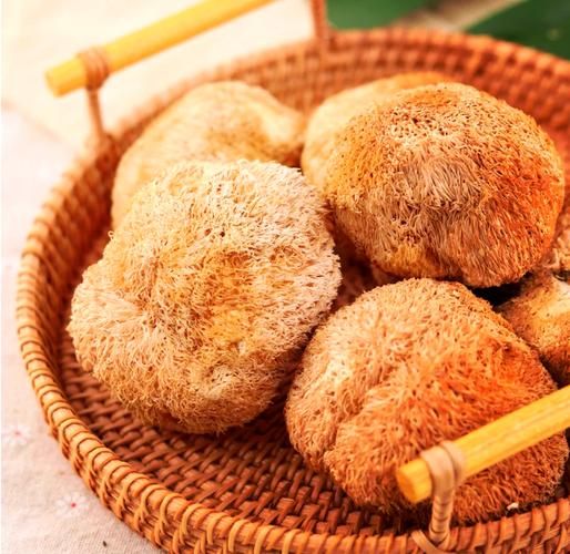 猴头菇怎么炒好吃_猴头菇炒菜做法大全-第1张图片-山城妙识