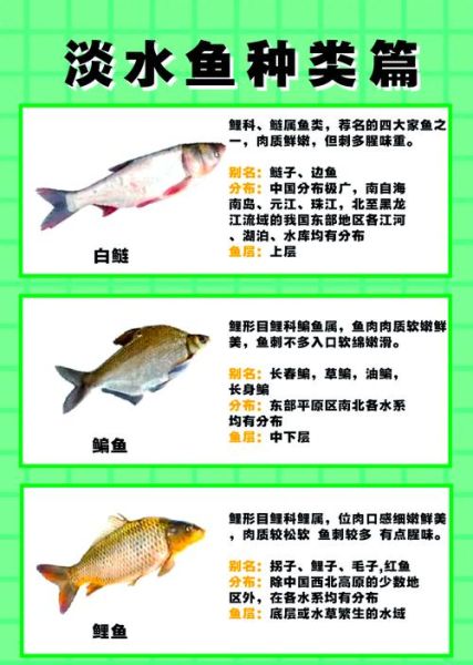 淡水鱼种类图片及名称_如何快速识别常见淡水鱼-第3张图片-山城妙识 淡水鱼种类图片及名称_如何快速识别常见淡水鱼-第3张图片-山城妙识