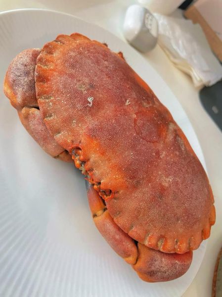 面包蟹的营养价值_面包蟹的功效与作用-第1张图片-山城妙识